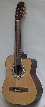 ATLAS of Plucked Instruments - America North